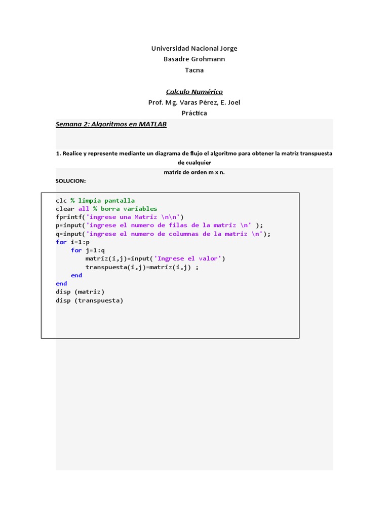 Algoritmos | PDF | Matriz (Matemáticas) | Análisis numérico