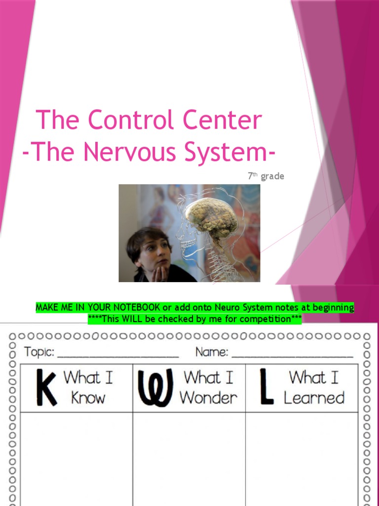 Nervous System Notes | PDF | Neuron | Nervous System