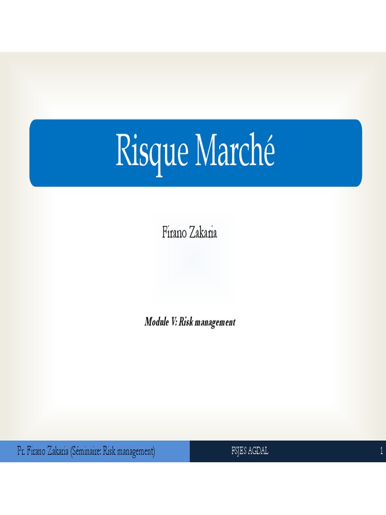 Support 1 MSDG | PDF | Risque | Risque financier