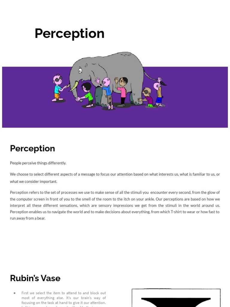 Perception | PDF | Perception | Senses