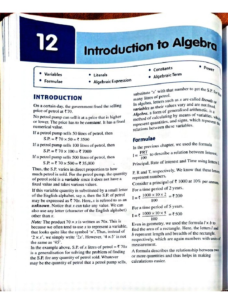 Introduction To Algebra | PDF