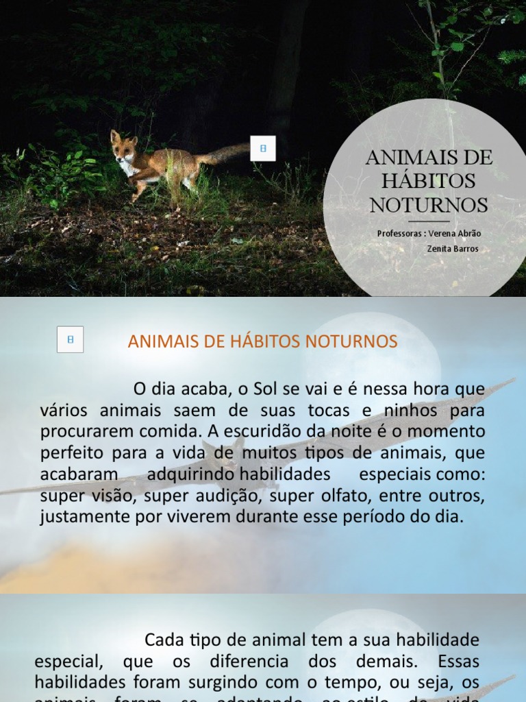 Animais de Hábitos Noturnos | PDF | Coruja | Morcego