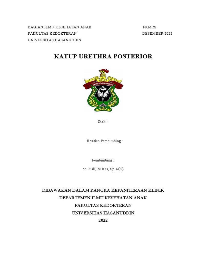 Katup Uretra Posterior | PDF