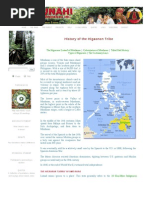 Hanunuo Mangyan Culture and Traditions | PDF