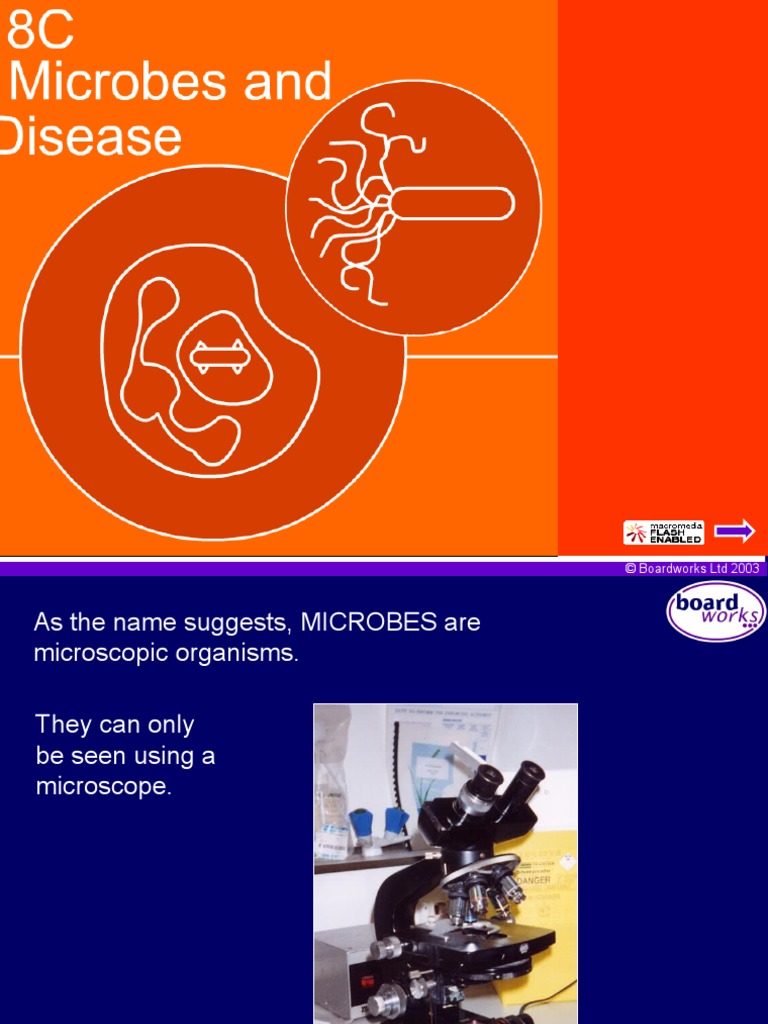 8C Microbes and Disease | PDF | Microorganism | Yeast