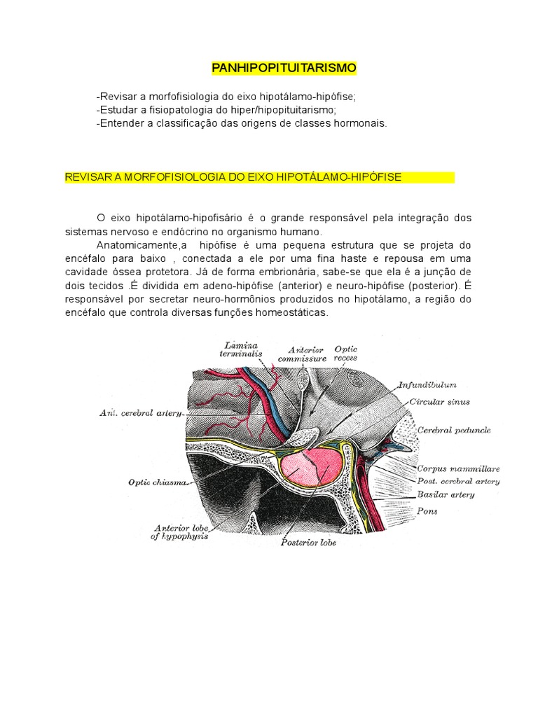 Apg 5 - Panhipopituitarismo | PDF | Glândula pituitária | Hipotálamo