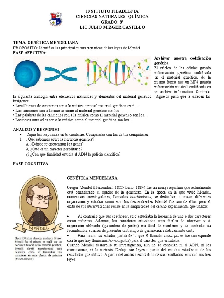 Guia Genética Mendeliana | PDF | Dominancia (Genética) | Alelo