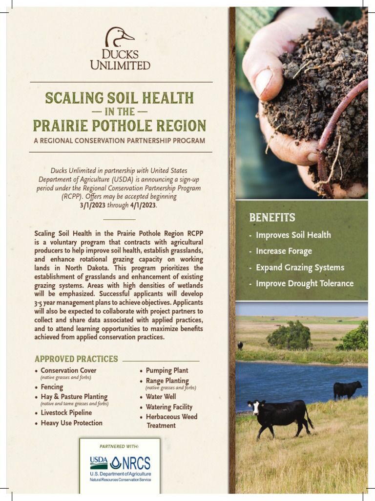 Soil Health - Flyer | Download Free PDF | Grazing | Grassland