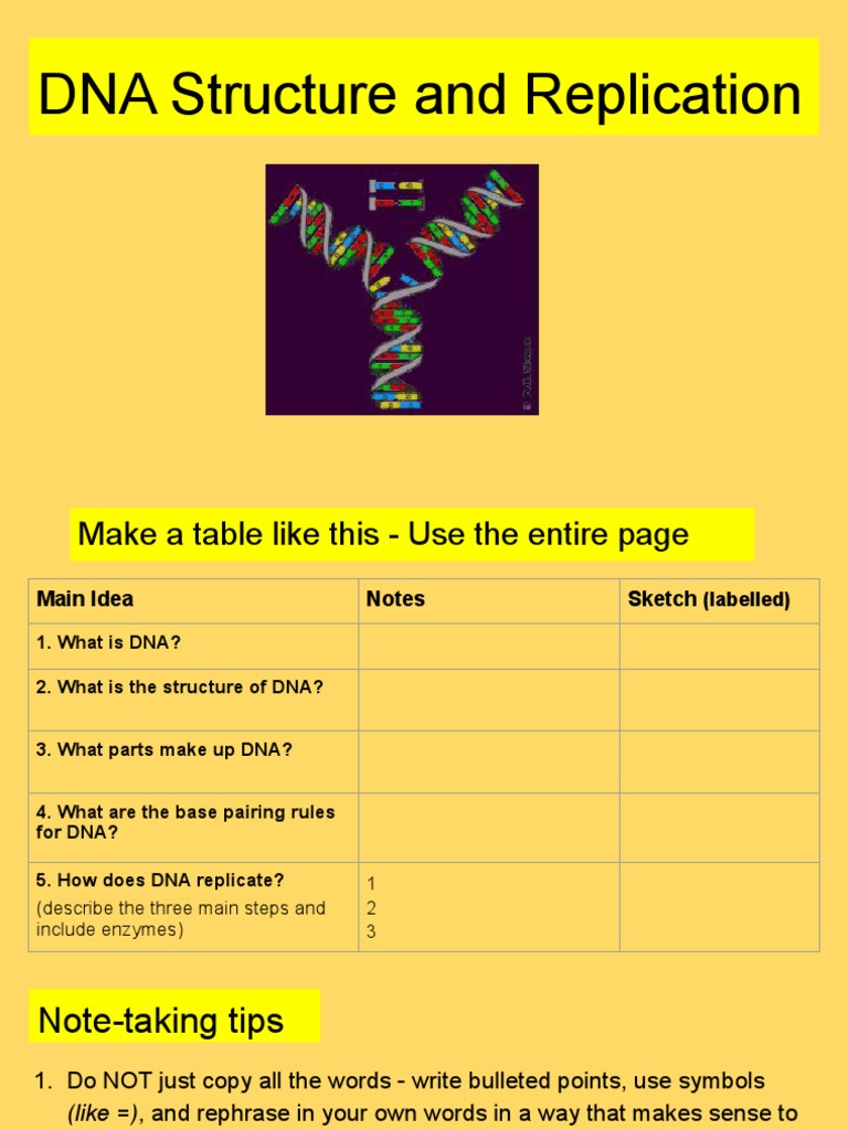 DNA Replication Slideshow | PDF | Dna | Dna Replication
