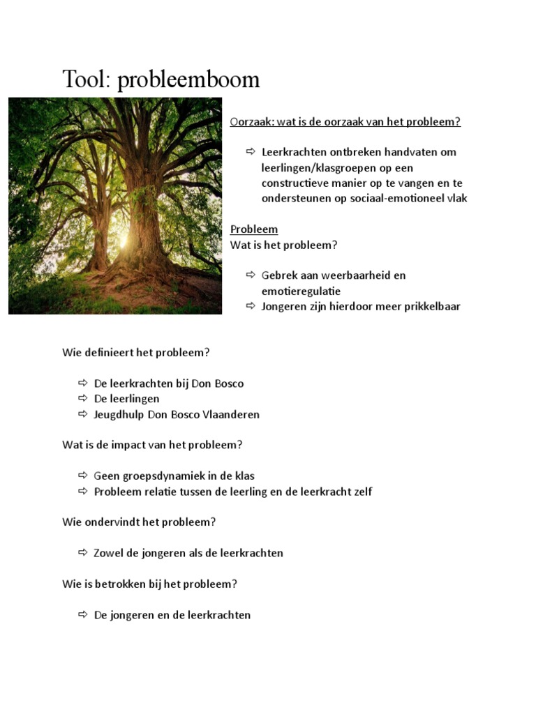 Probleemboom Bachelorproef | PDF