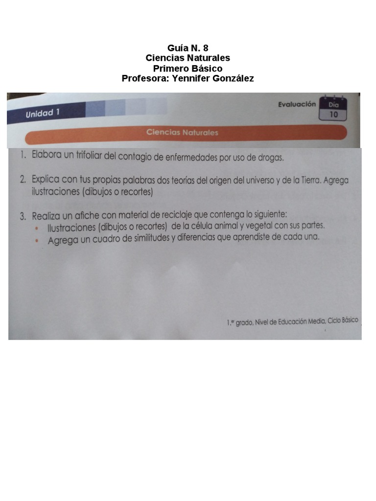 Guía de Ciencias Naturales 1° Básico | PDF