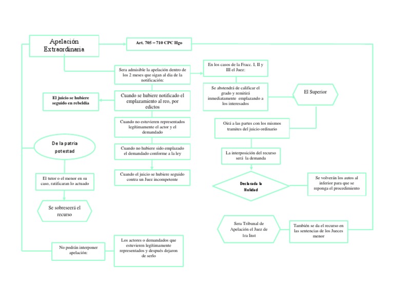 Recurso de Apelacion Extraordinaria | PDF | Apelación | Ley Pública