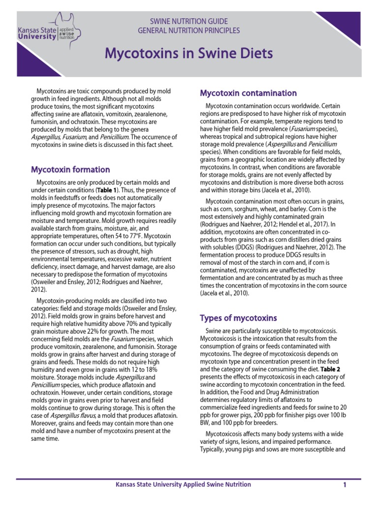 KSU Mycotoxins in Swine Diets Fact Sheet | PDF | Mycotoxin | Mold