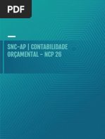 SNC-AP: Estrutura e Normas Contábeis Públicas | PDF | Contabilidade ...