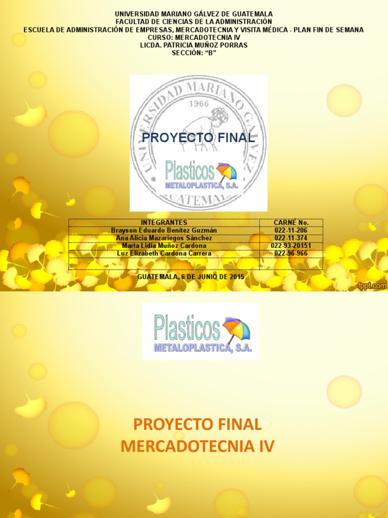 Proyecto Final | PDF | Producto (Negocio) | Marketing