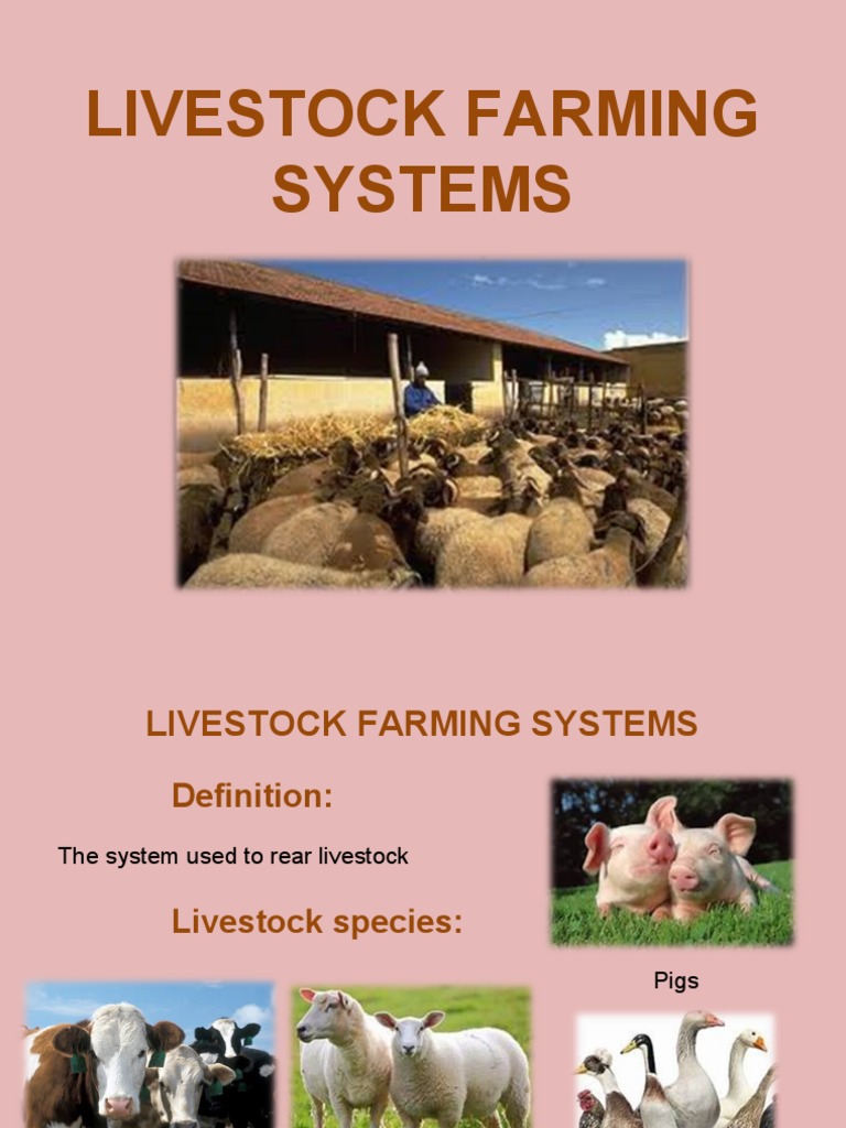 Livestock Farming | PDF | Livestock | Agriculture
