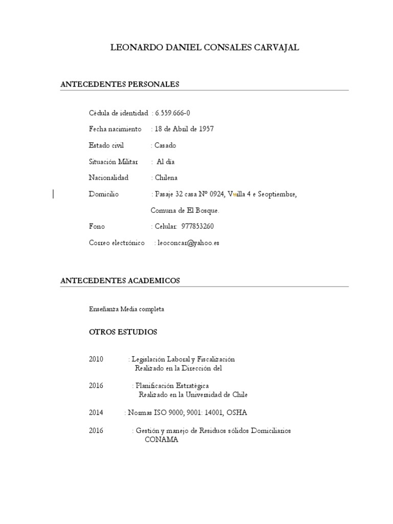 Curriculum Leonardo Consales C. 2 | PDF