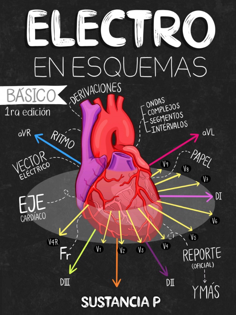 Electrocardiografía ECG EKG Esquemas 1° Ed Paula Parra Sustancia | PDF ...