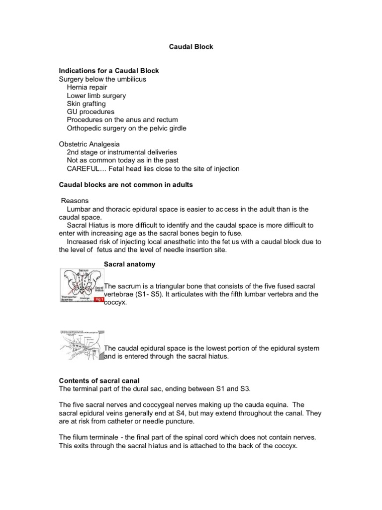 Caudal Block Techniques and Guidelines | PDF | Self-Improvement ...