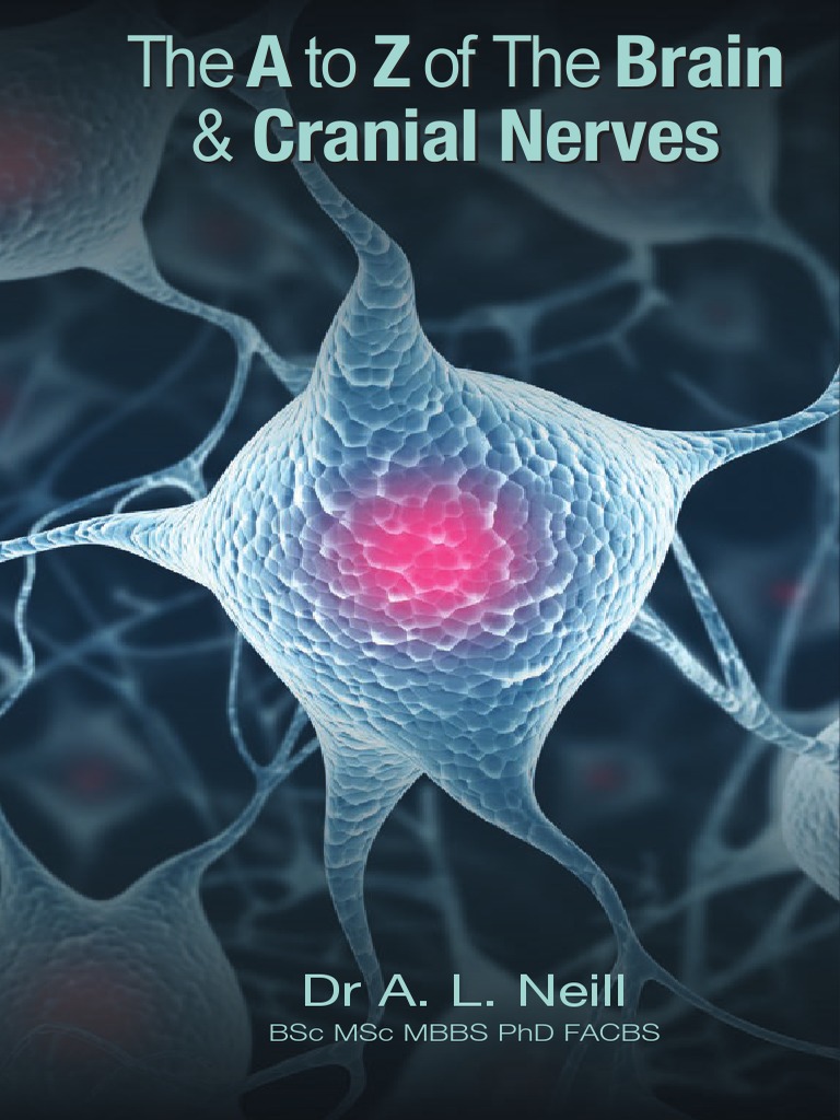 The a to Z of the Brain Cranial Nerves | PDF | Brainstem | Cerebrum