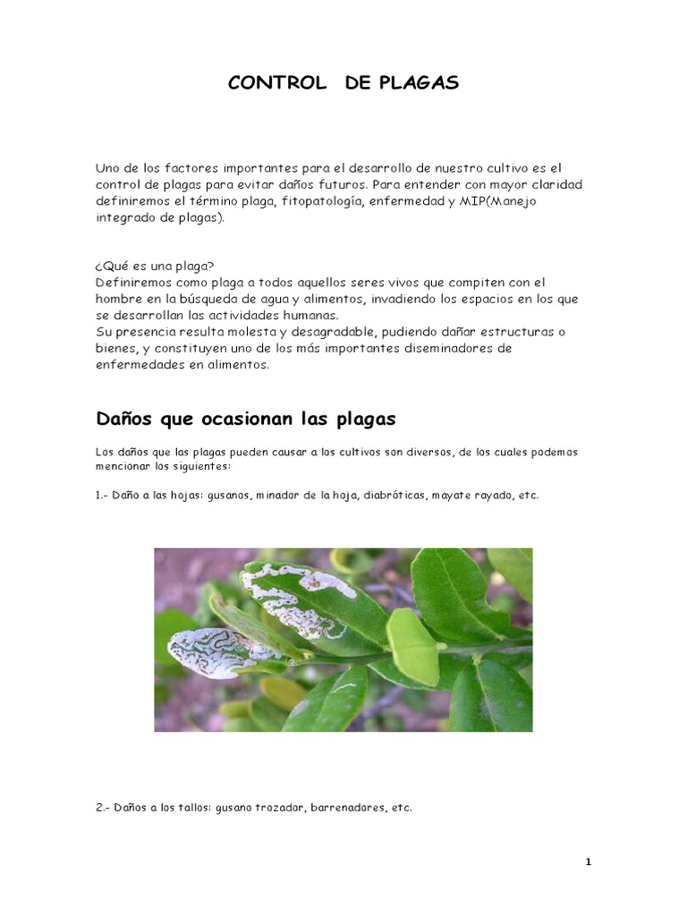 Control de Plagas | PDF | Virus | Plaga (organismo)