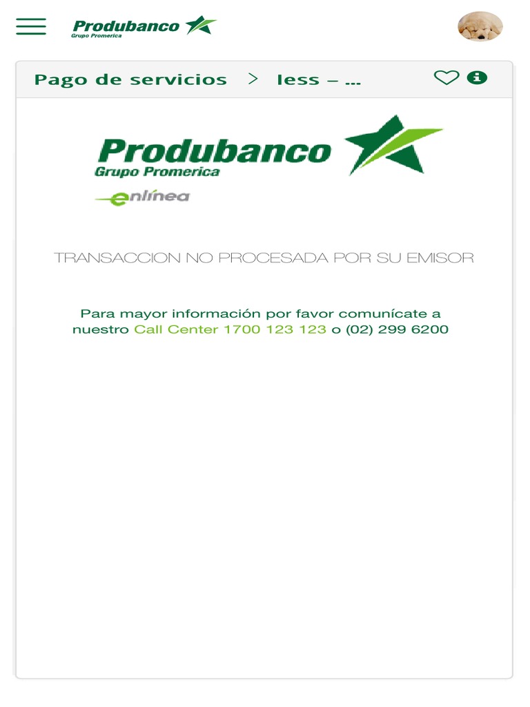 Produbanco - Grupo Promerica 2 | PDF