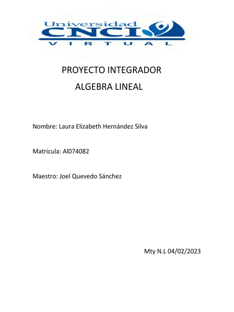 Proyecto Integrador Algebra | PDF