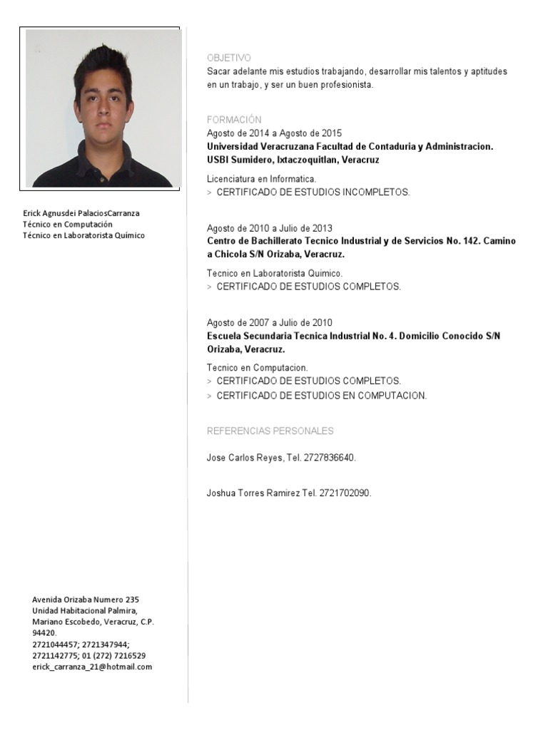 Curriculum Vitae Ejemplo | PDF | Informática