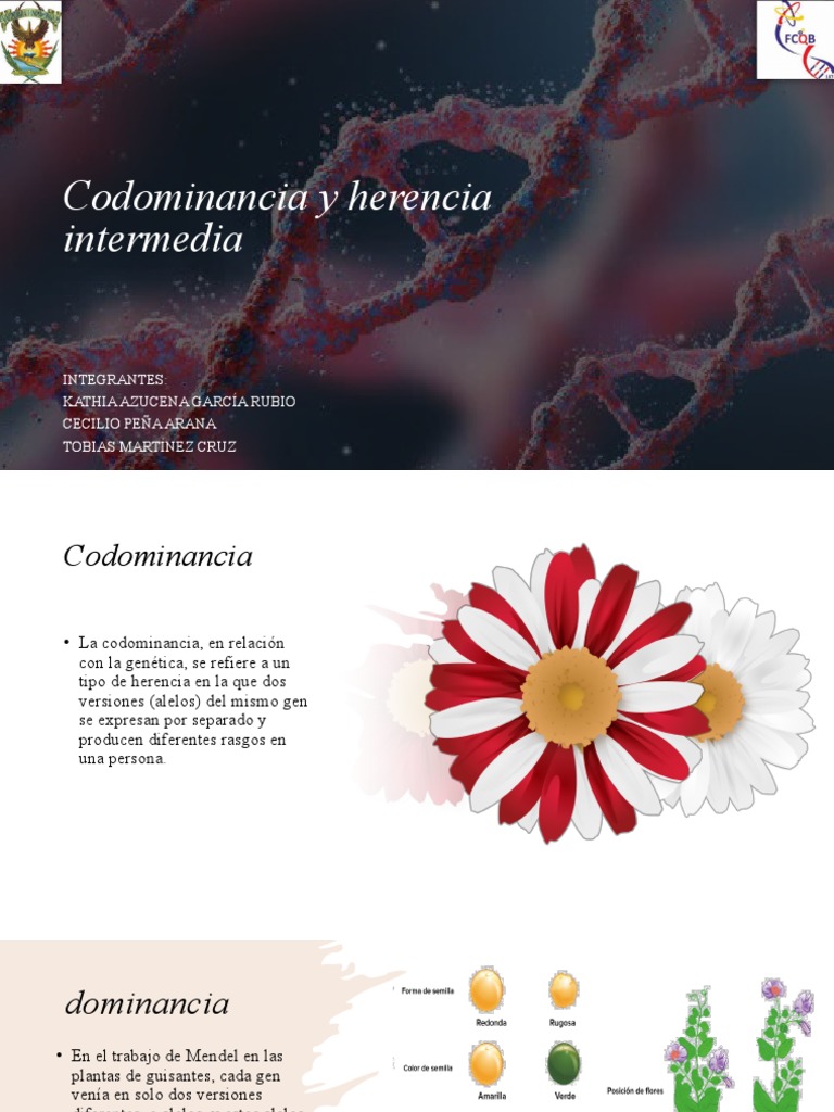 Codominancia y Herencia Intermedia Terminado | PDF | Dominancia ... Codominancia y Herencia Intermedia Terminado | PDF | Dominancia ...