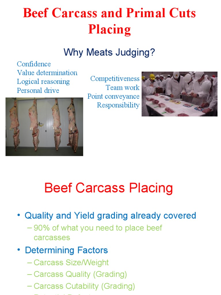 2 SC Ffa Beef Carcass Cut Placing | PDF | Cattle Products | Animal Products