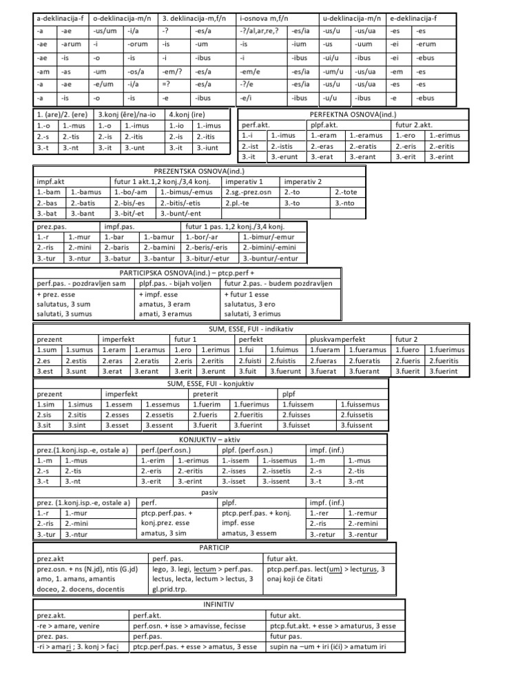Deklinacije I Glagoli Lat | PDF
