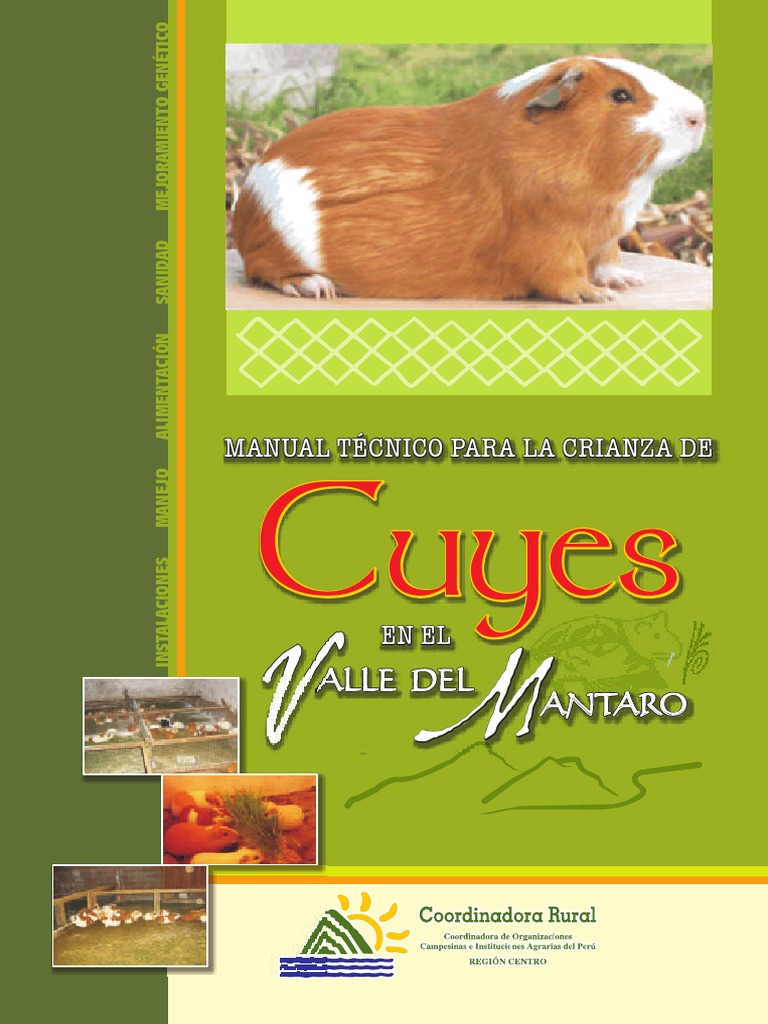 Guía Práctica para la Crianza de Cuyes | PDF | Alimentos | Conejillo de ...
