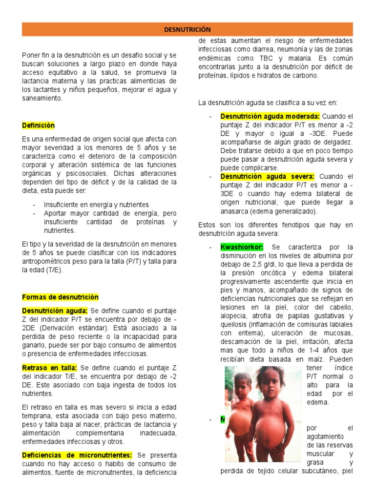 Desnutrición Pdf Desnutrición Proteínas