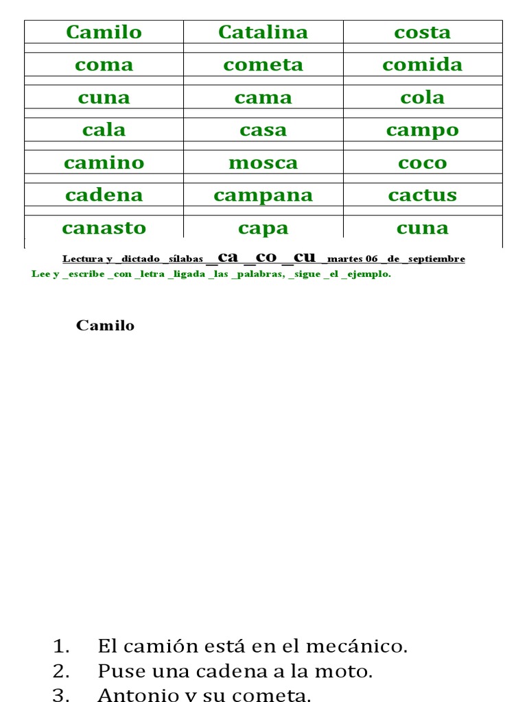 Lectura CA Co Cu | PDF