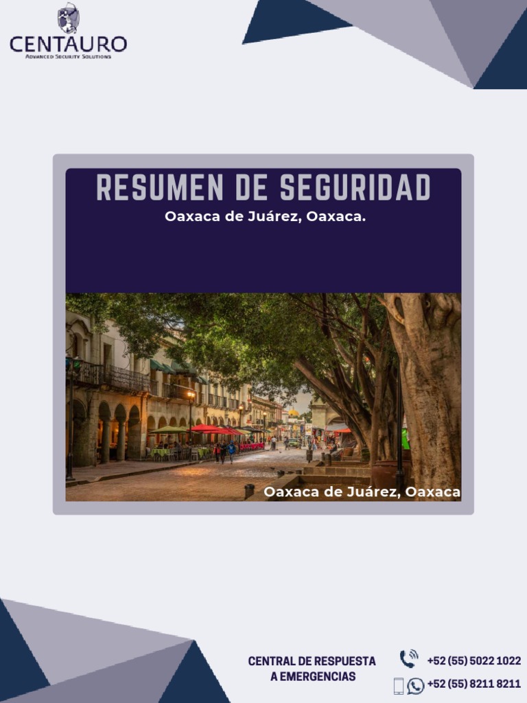 Resumen de Seguridad Oaxaca | PDF