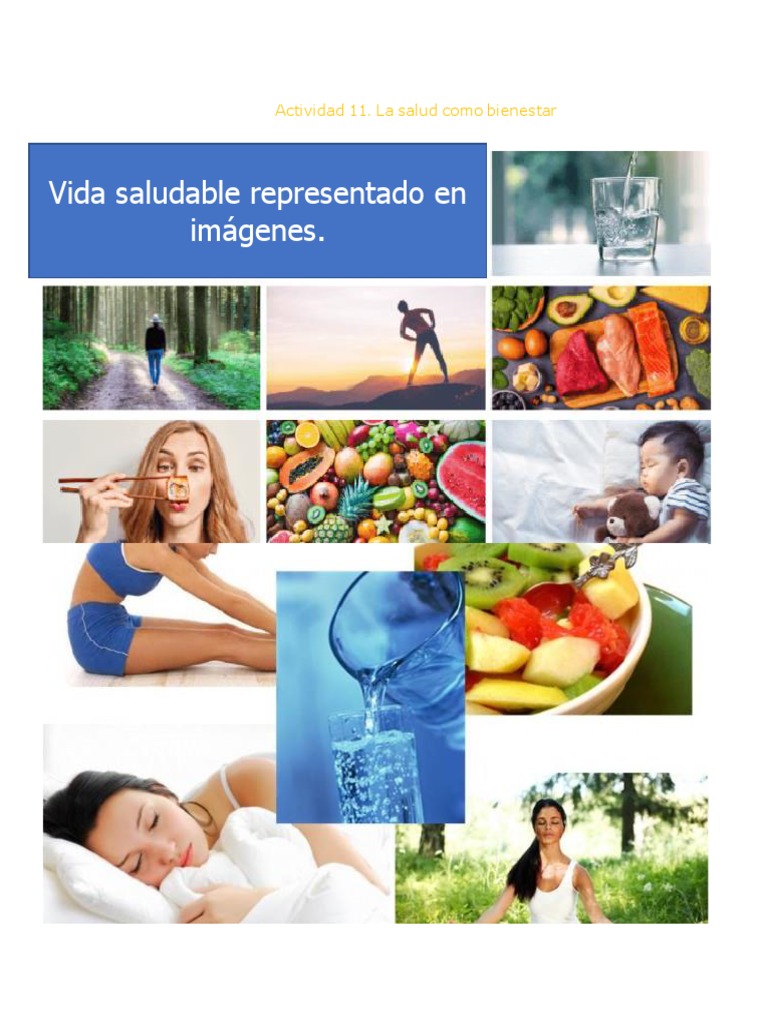 Vida Saludable | PDF