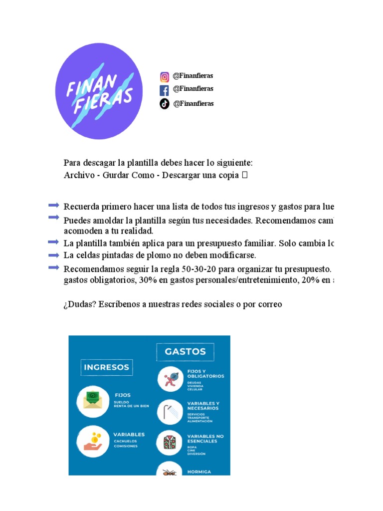 Plantilla de Presupuesto 50-30-20 | PDF