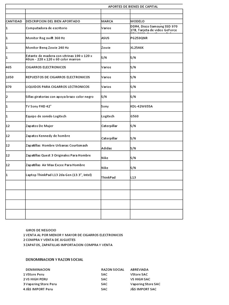 Modelo Aportes de Capital Nuevo | PDF | Electrónica | Microcomputadoras