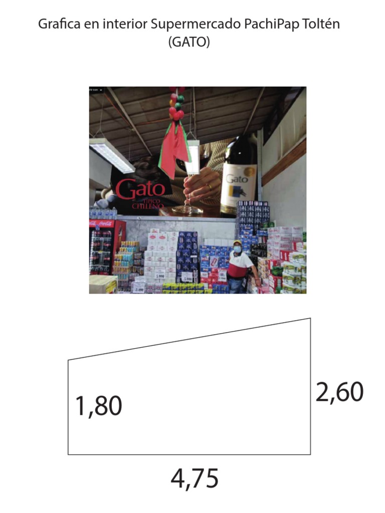 Medidas Gráficas Toltén | PDF