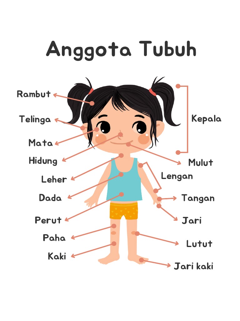 Printable Mengenal Anggota Tubuh | PDF
