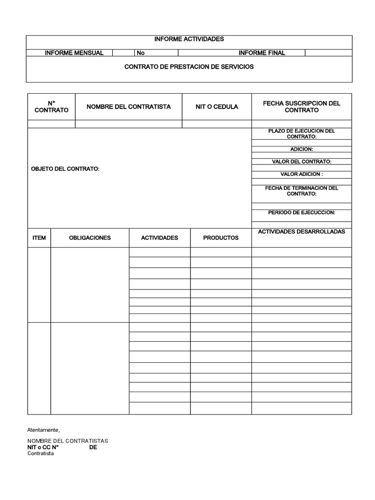 FORMATO DE INFORMES DE ACTIVIDADES | PDF