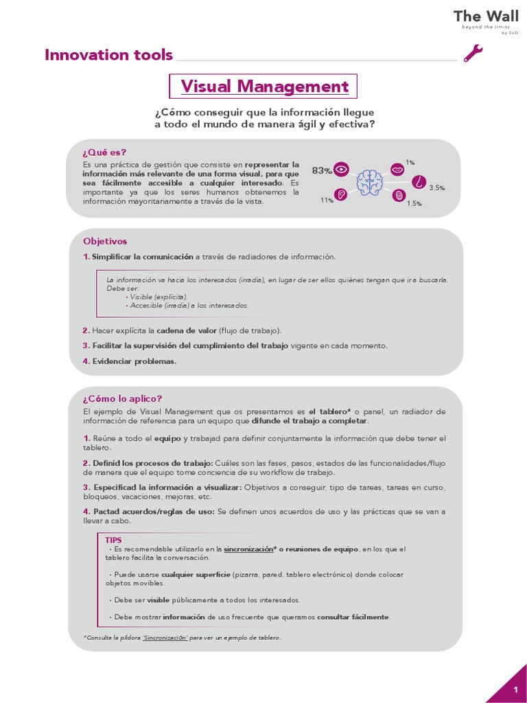 Visual Management Descargable | PDF | Información | Ciencia cognitiva