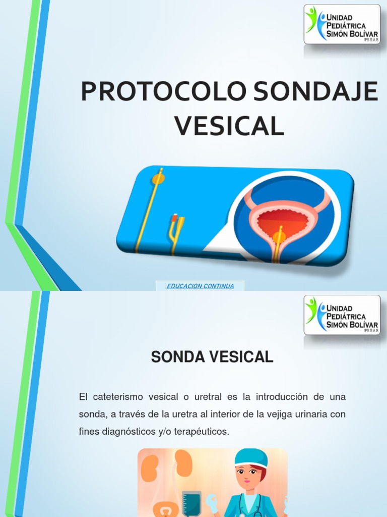 Protocolo de Sondaje Vesical | PDF | Vejiga urinaria | Especialidades ...