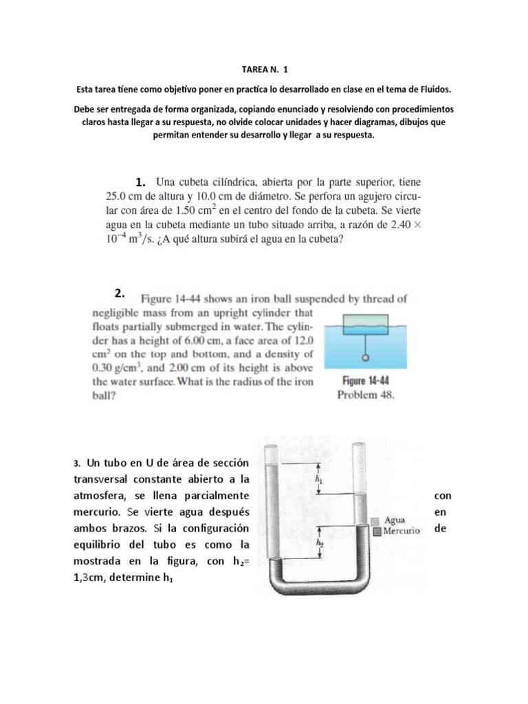 Tarea N.1 Fluidos | PDF
