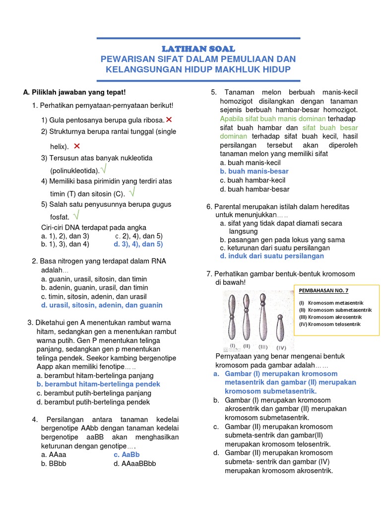 Kunci Jawaban Dan Pembahasan - Latihan Soal Materi Pewarisan Sifat Dalam Pemuliaan Dan ...