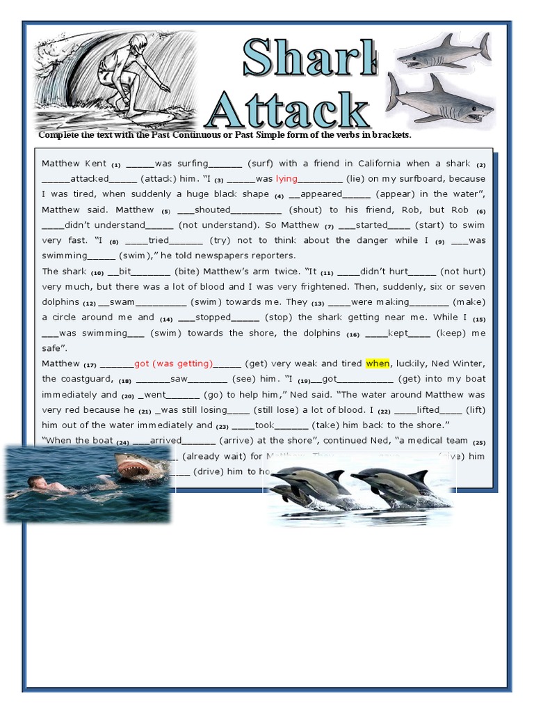 Shark Attack Grammar | PDF