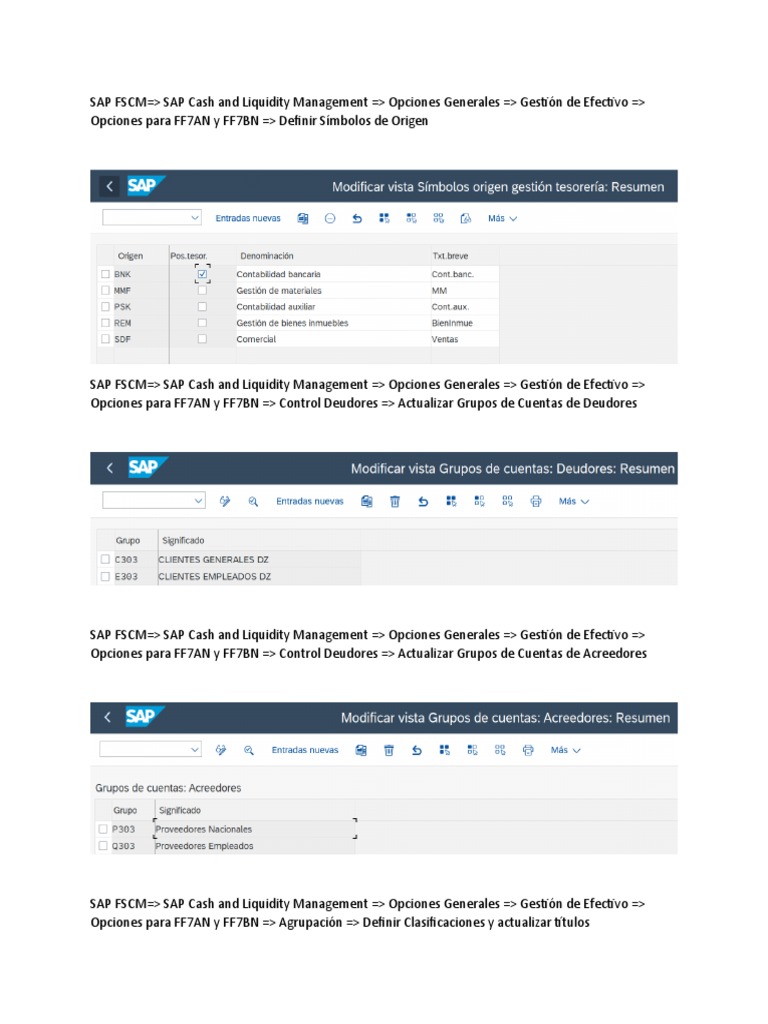 Opciones de Gestión para FF7AN en SAP | PDF | Finanzas y dinero ...