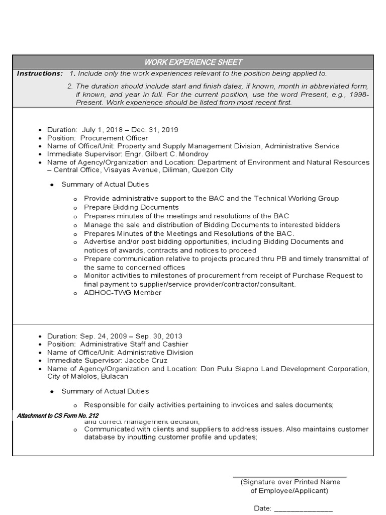Work Experience Sheet | PDF | Business Economics | Economies