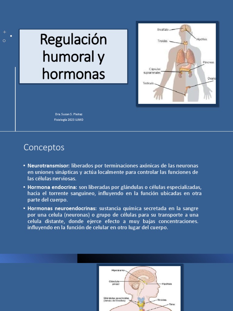 Tema 9. Regulación Humoral y Hormonas 23 | PDF | Hormona | Glándula ...
