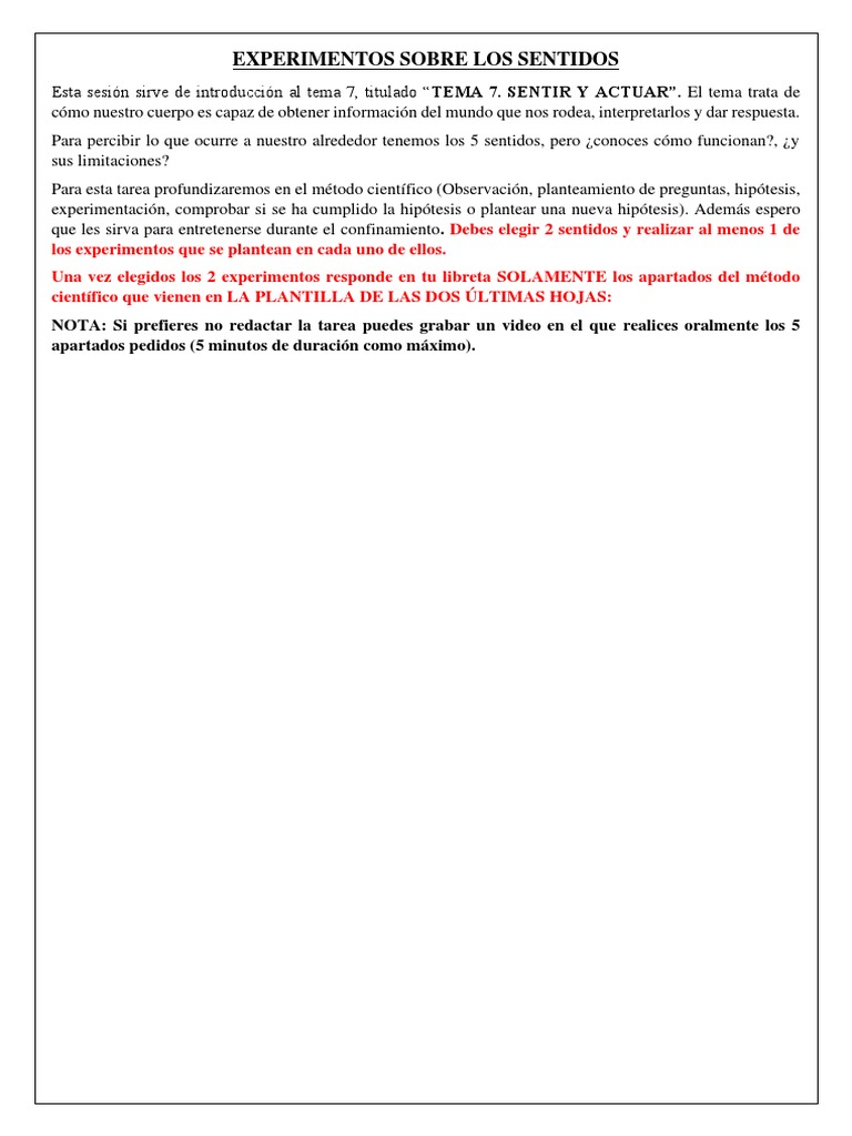 Clases 23 24 y 25 de Marzo 3o A y B 1 | PDF | Mano | Experimentar